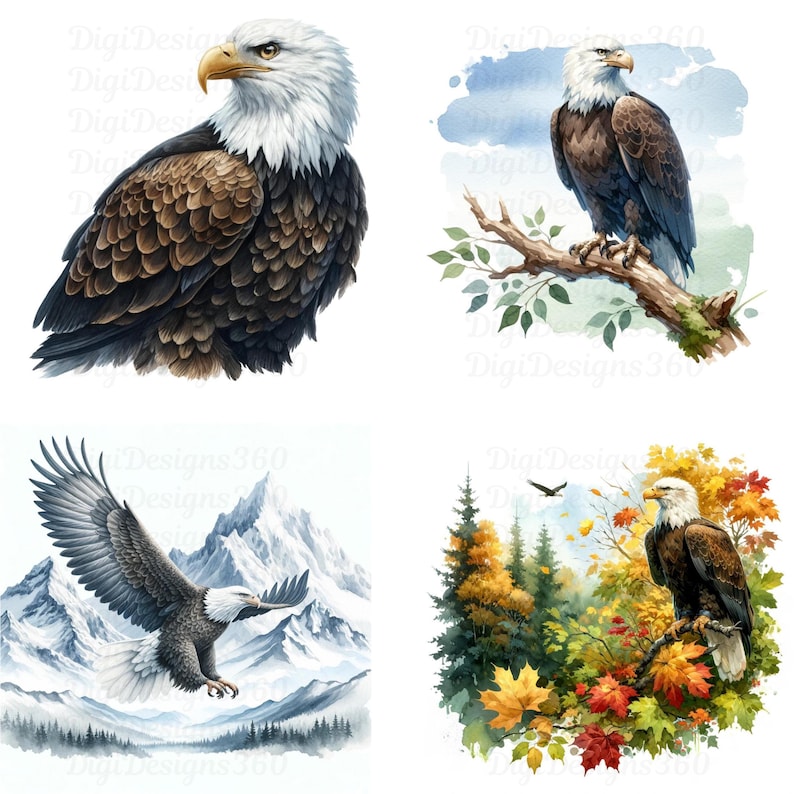 Watercolor Eagle Clipart – 15 PNG Graphics, DIY Projects (digital ...