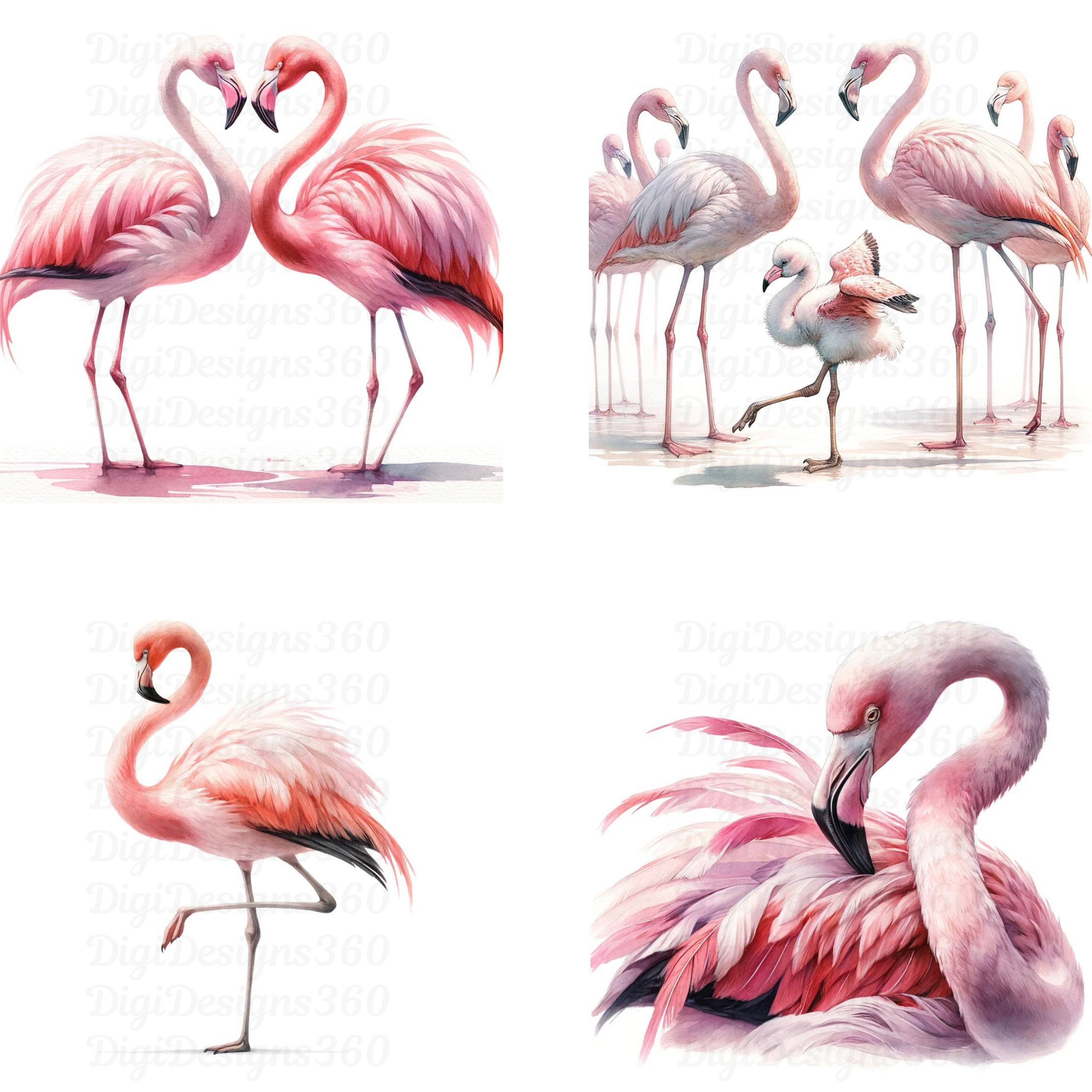 Pink Flamingo Clipart Watercolor Tropical Bird Graphics for ...
