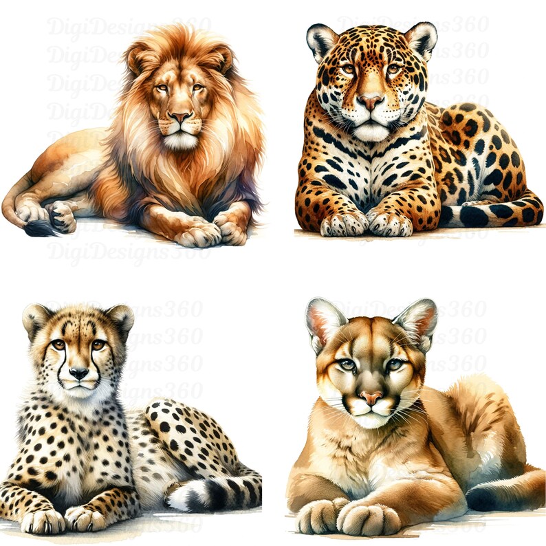 Watercolor Big Cat Clipart – Jungle Animals, Commercial Use (PNG) - Etsy