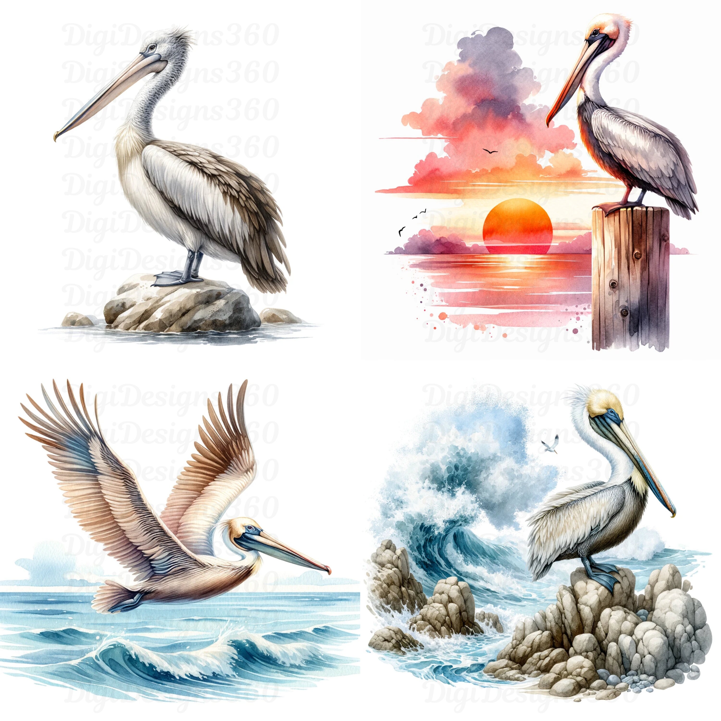 Pelican Clipart - Watercolor Bird Graphics, Perfect for Invitations ...