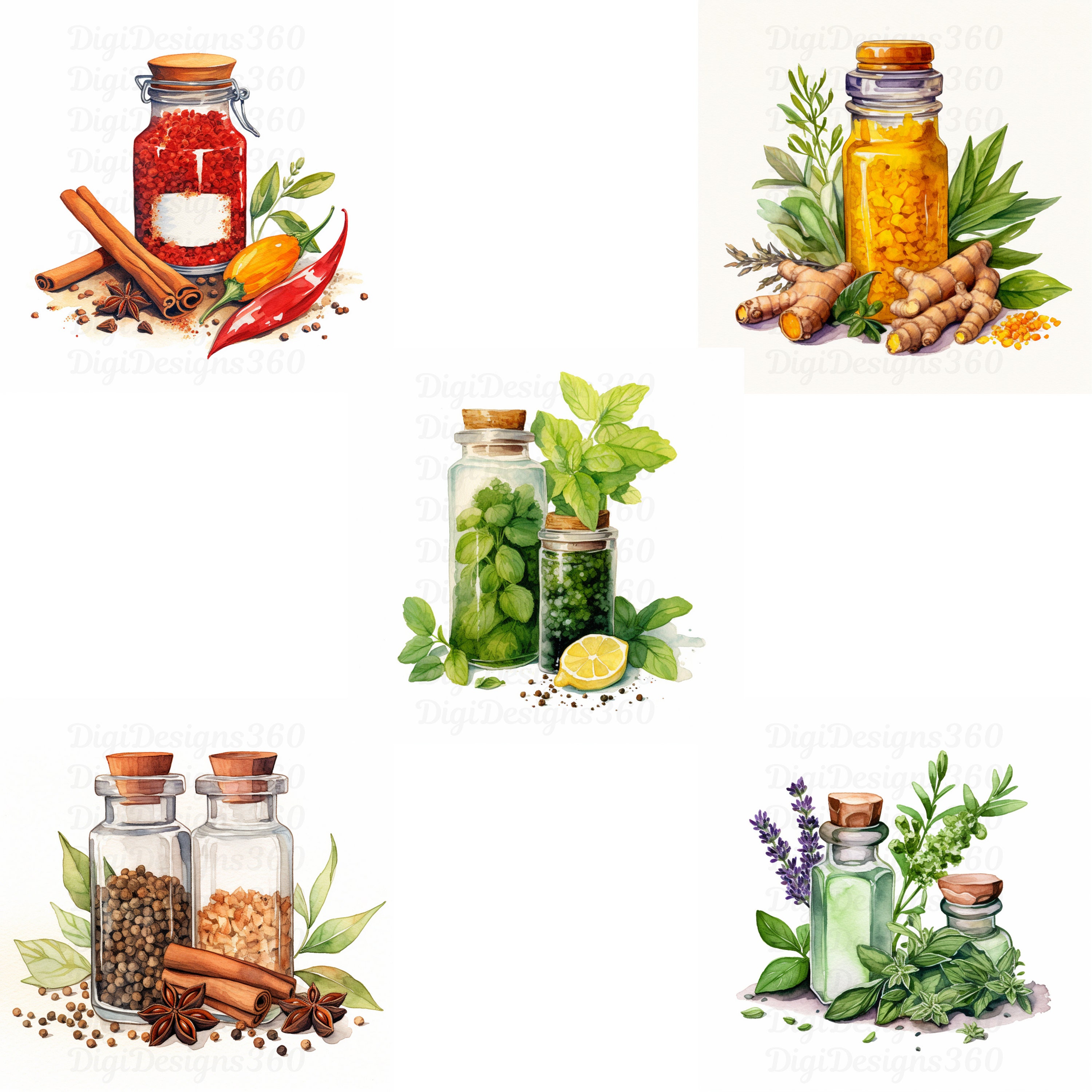 Watercolor Herbs & Spices Clipart – 23 PNG, Culinary Art (digital ...