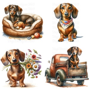 Watercolor Dachshund Clipart Set – 16 PNG Graphics (commercial Use) - Etsy