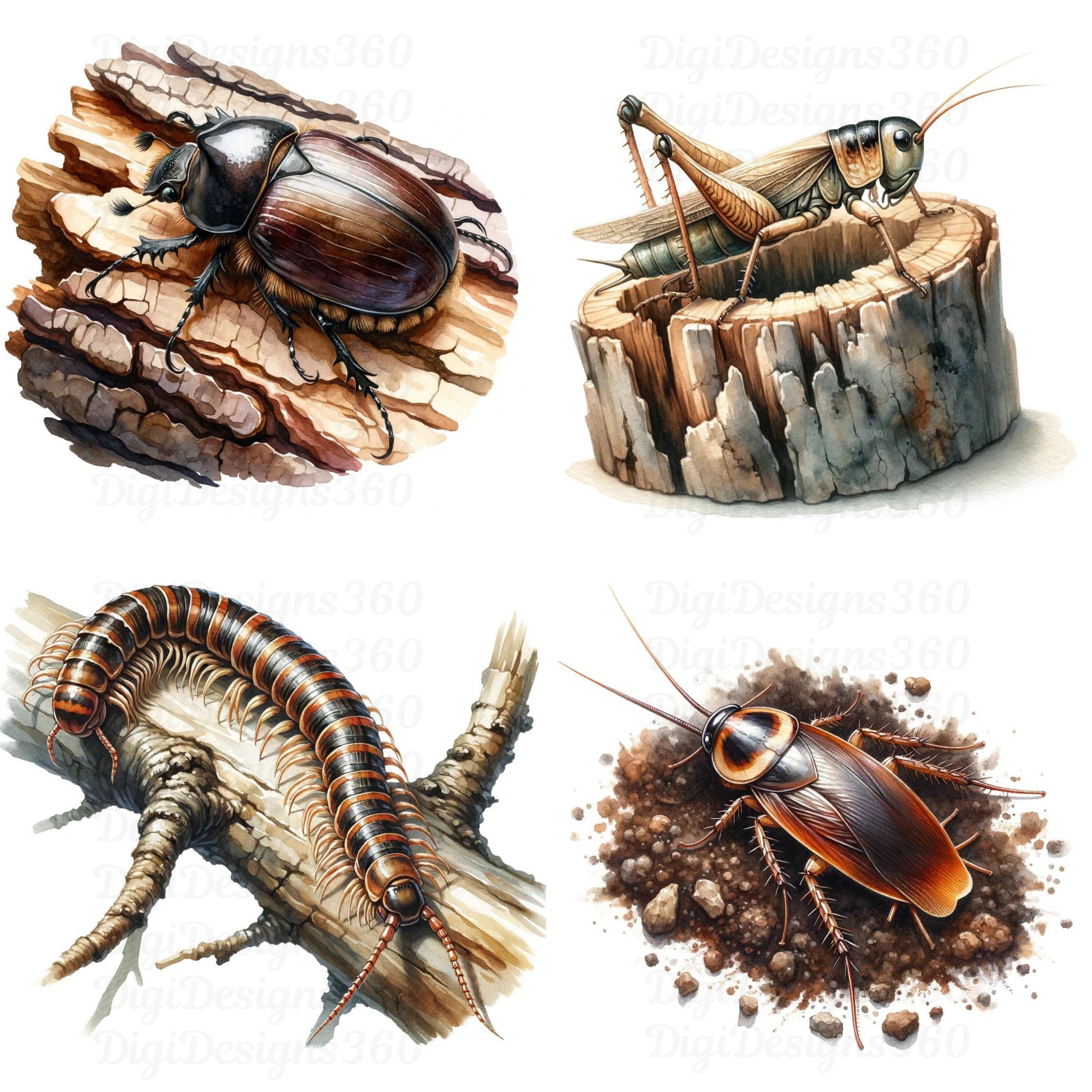 Watercolor Bug Clipart Collection Vibrant Insect Graphics, Perfect for ...
