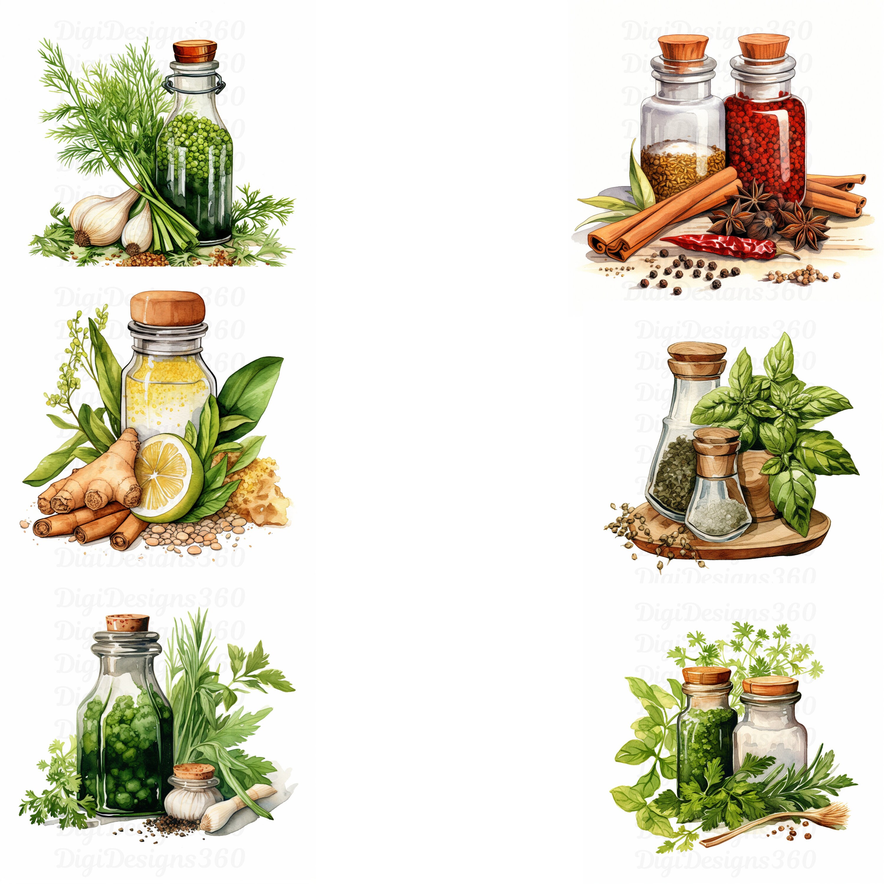 Culinary Herbs Clipart Collection Vibrant Watercolor Spices, Digital ...