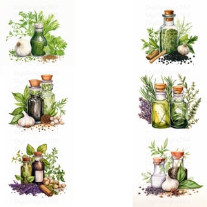 Watercolor Herbs & Spices Clipart – 23 PNG, Culinary Art (digital ...