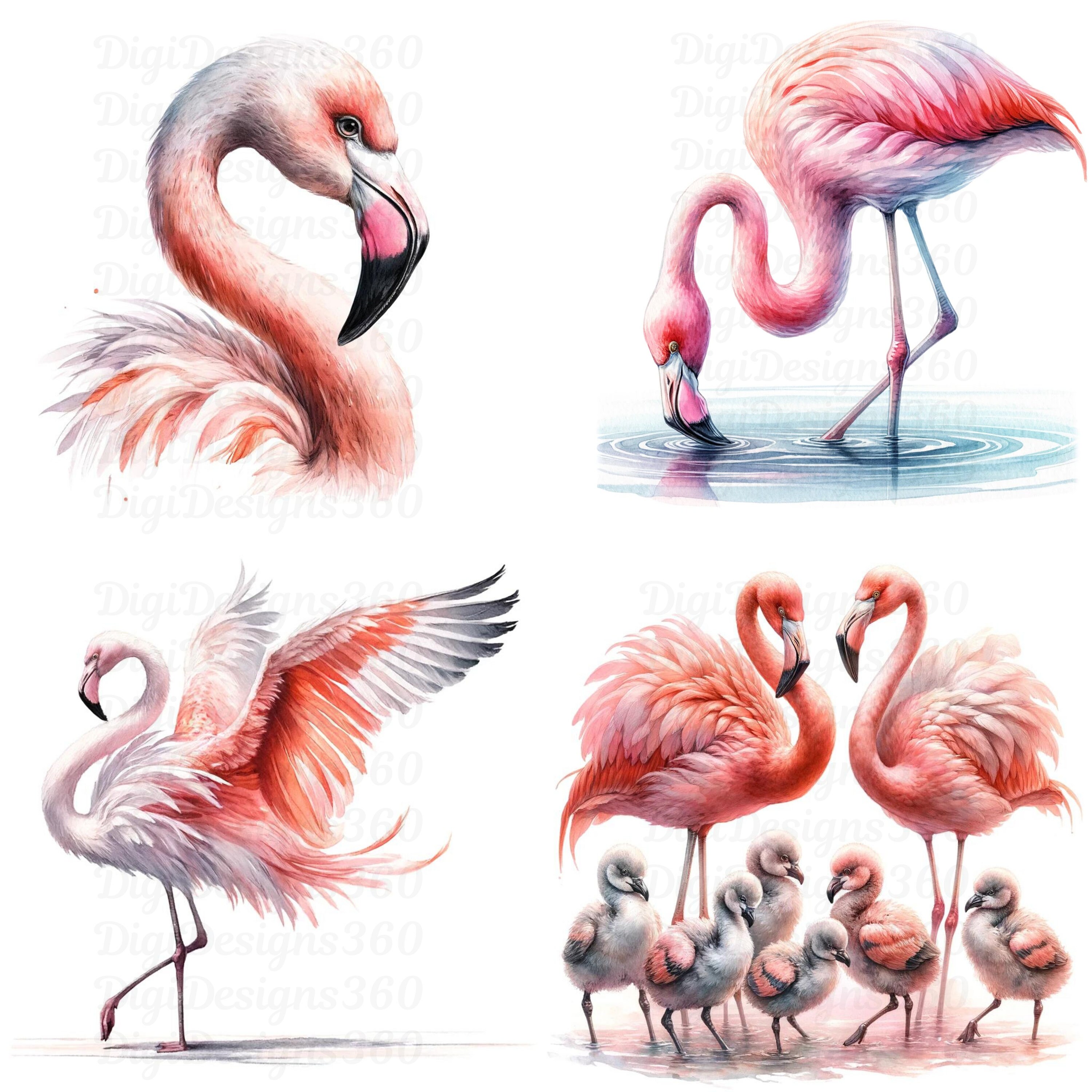 Pink Flamingo Clipart Watercolor Tropical Bird Graphics for ...