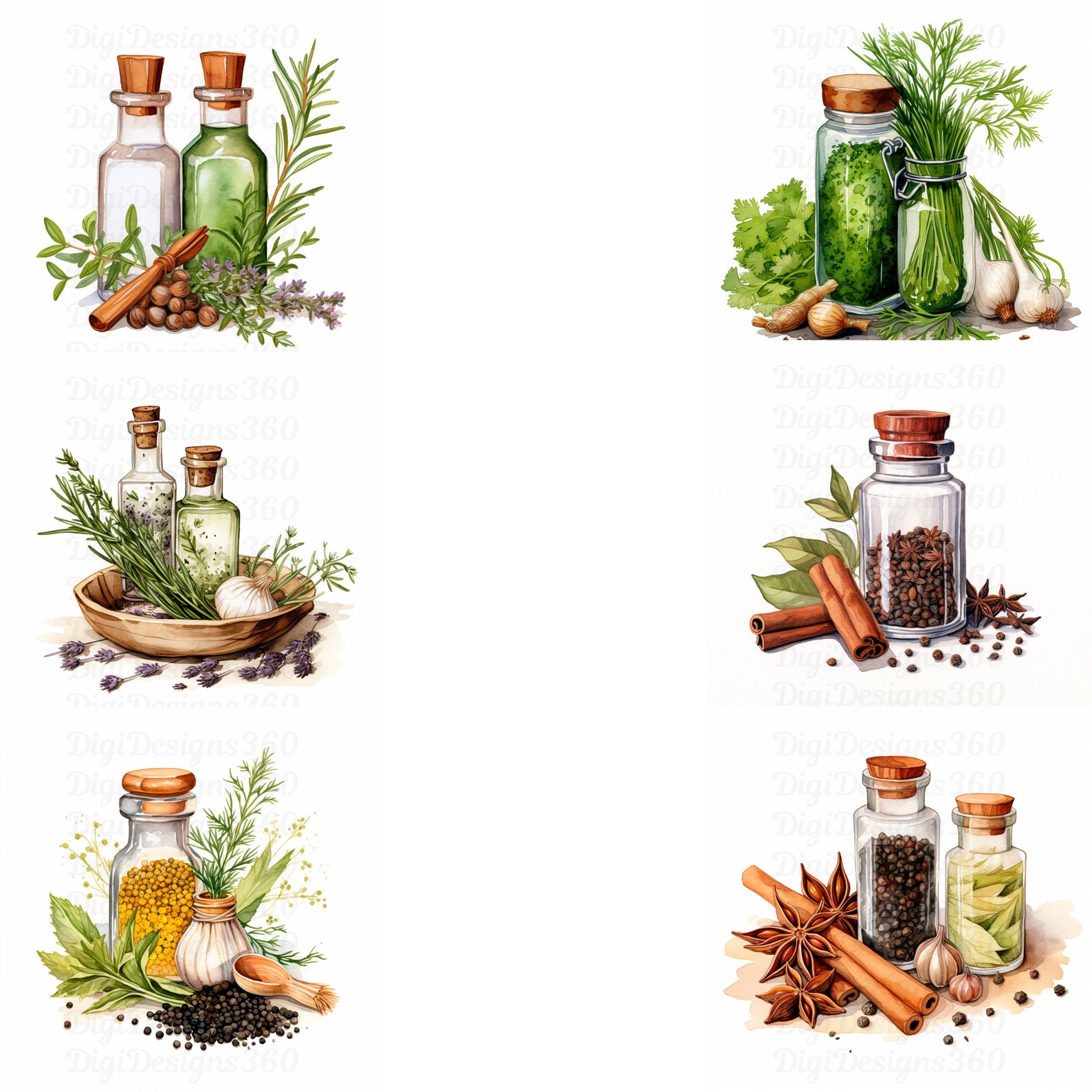 Watercolor Herbs & Spices Clipart – 23 PNG, Culinary Art (digital ...