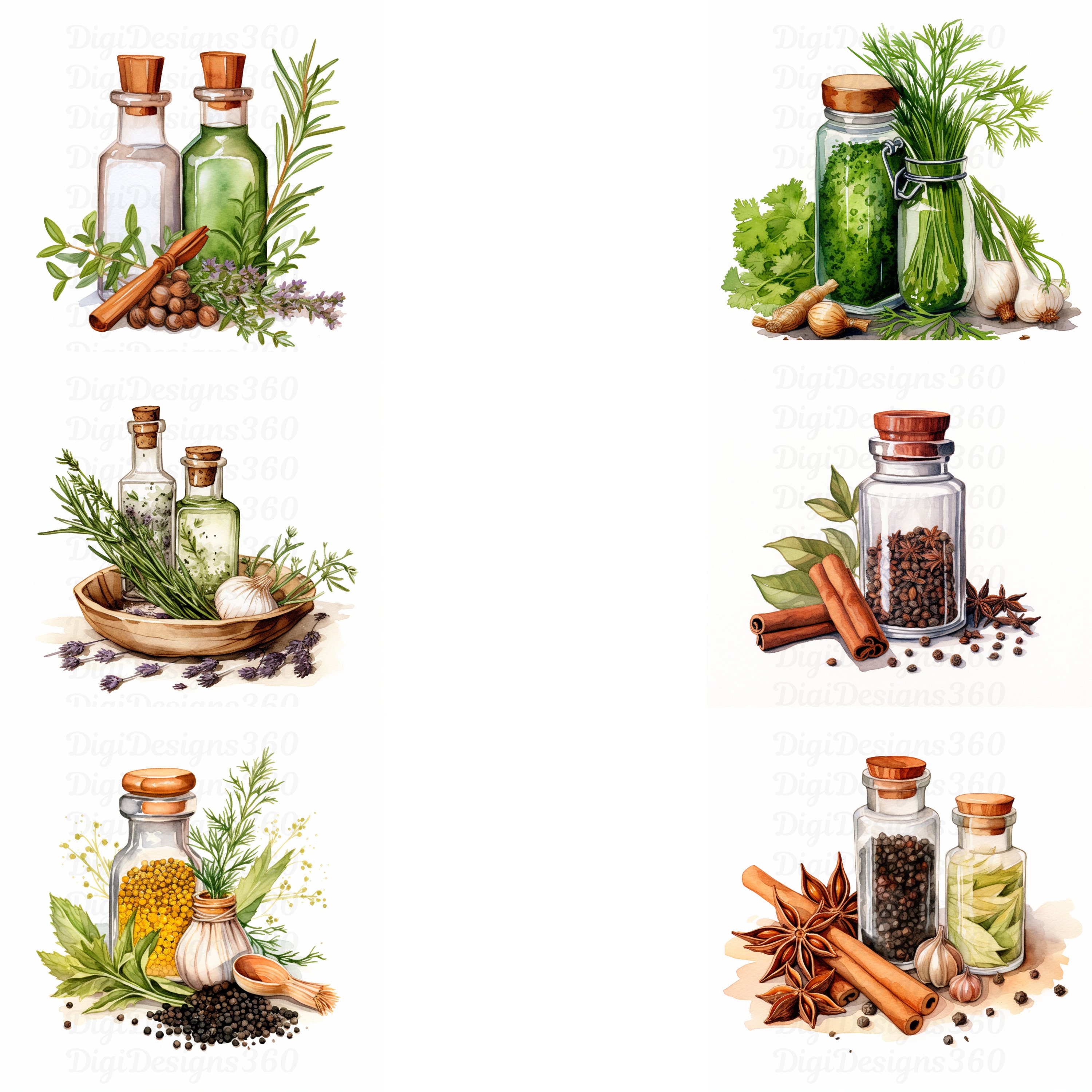 Culinary Herbs Clipart Collection Vibrant Watercolor Spices, Digital ...