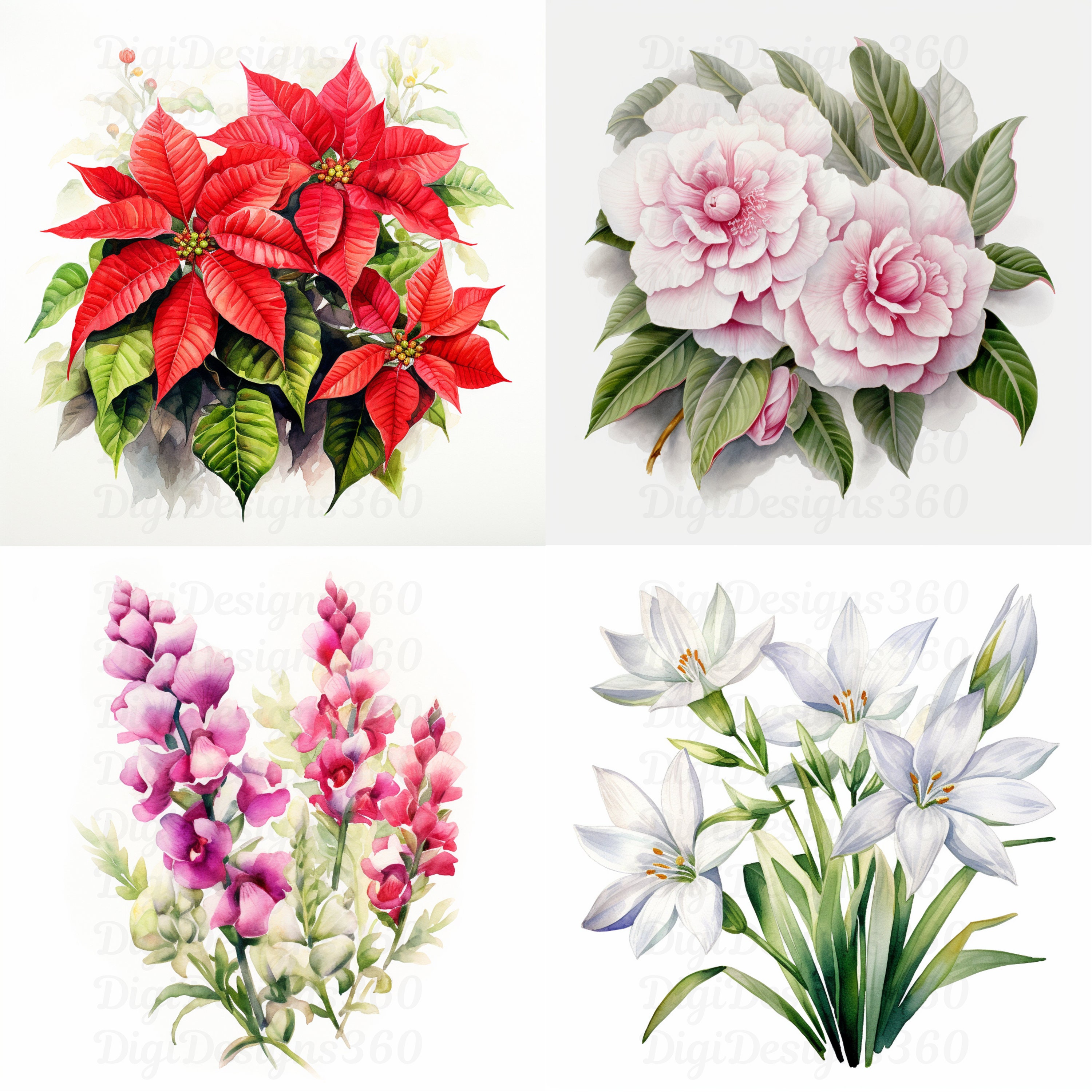 Winter Flowers Clipart Watercolor Floral Designs, Ideal for Wedding ...