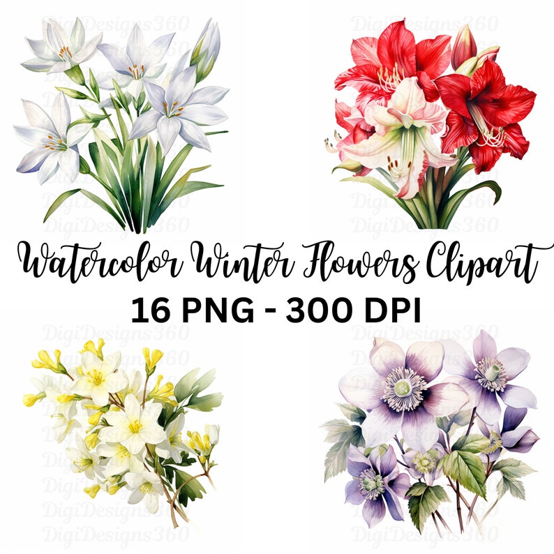 Winter Flowers Clipart - Watercolor Floral Designs, Ideal for Wedding ...