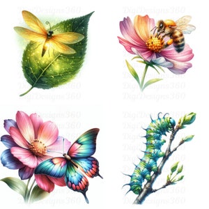 Watercolor Insect Clipart – 16 Vibrant Bug Graphics (PNG) - Etsy