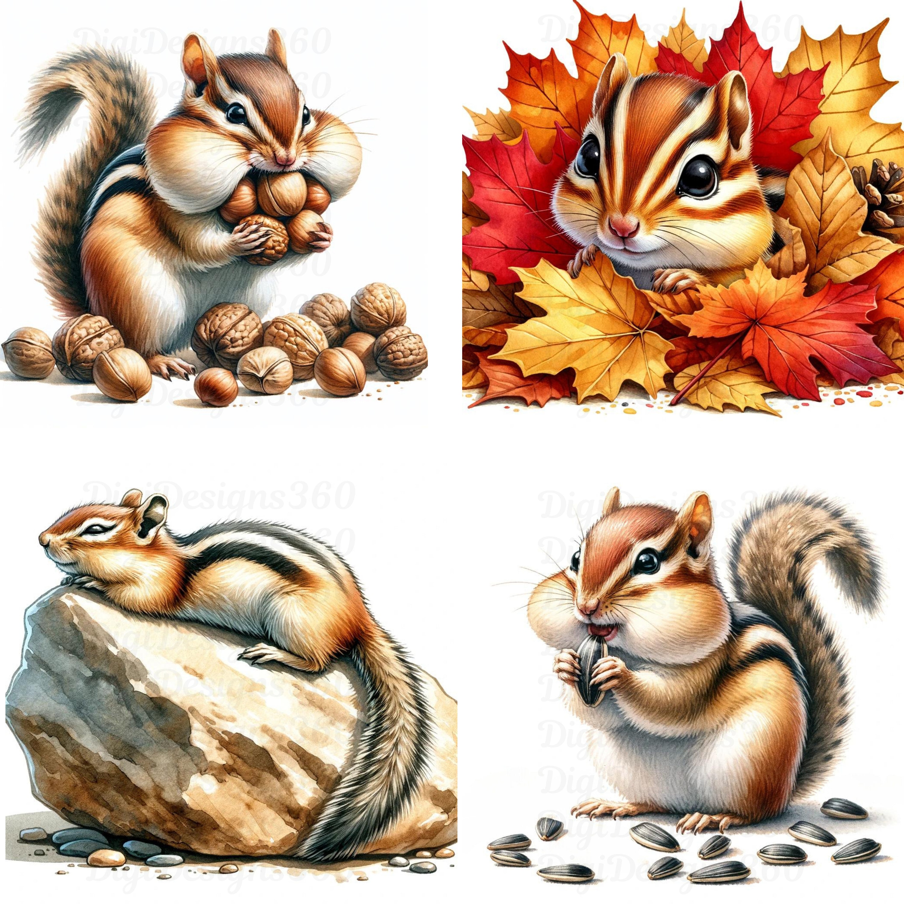 Watercolor Chipmunk Clipart – Forest Animal Graphics (digital Download ...