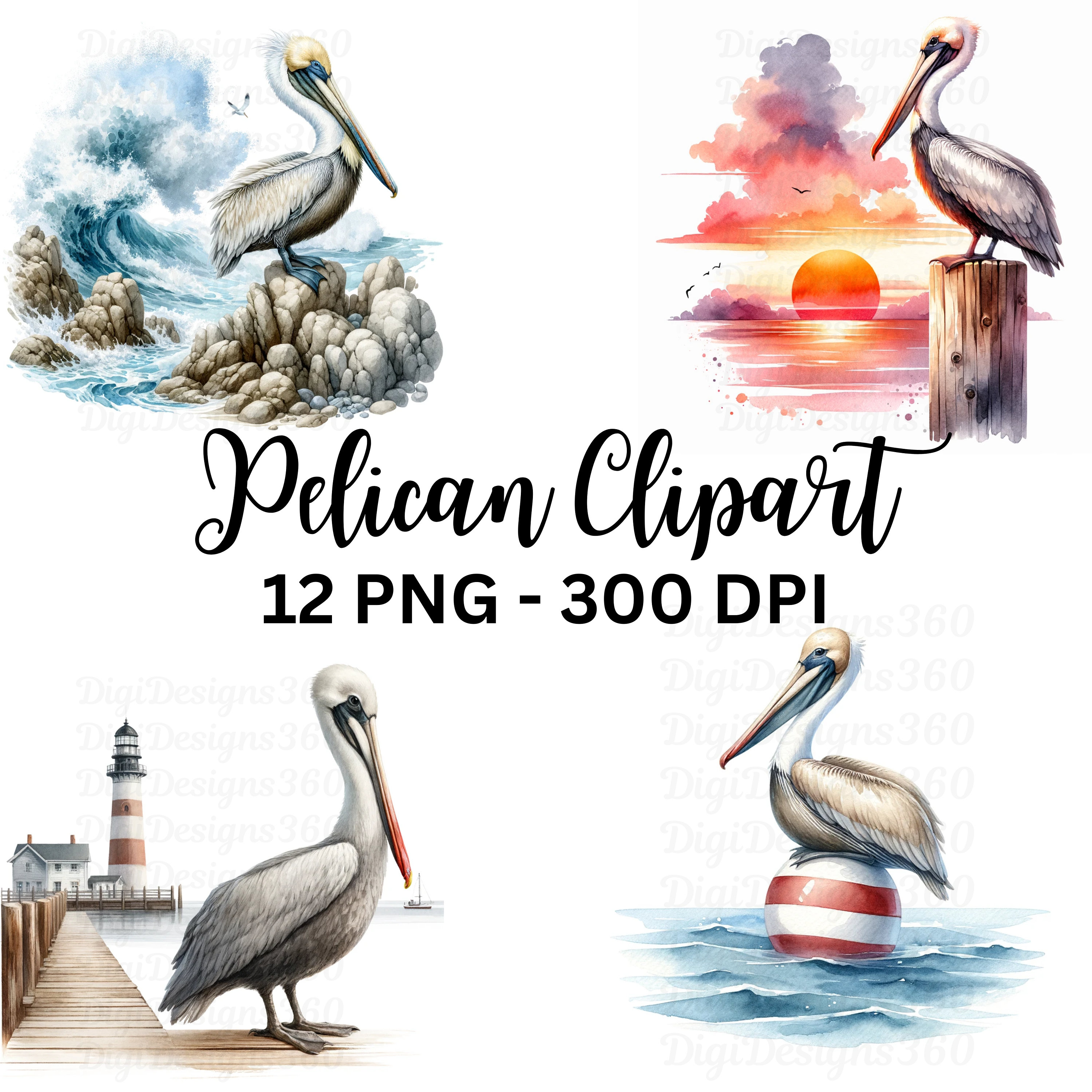 Watercolor Pelican Clipart – Coastal Bird Graphics (PNG, 300 DPI) - Etsy