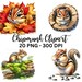Watercolor Chipmunk Clipart – Forest Animal Graphics (digital Download ...