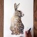 Rabbit Painting Original Watercolor Painting Hare Painting Wild Rabbit ...