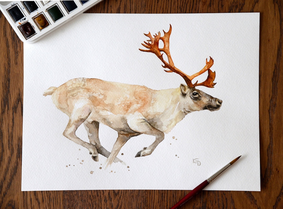 Original Watercolor Caribou Painting: North American Reindeer Art (9x12 ...