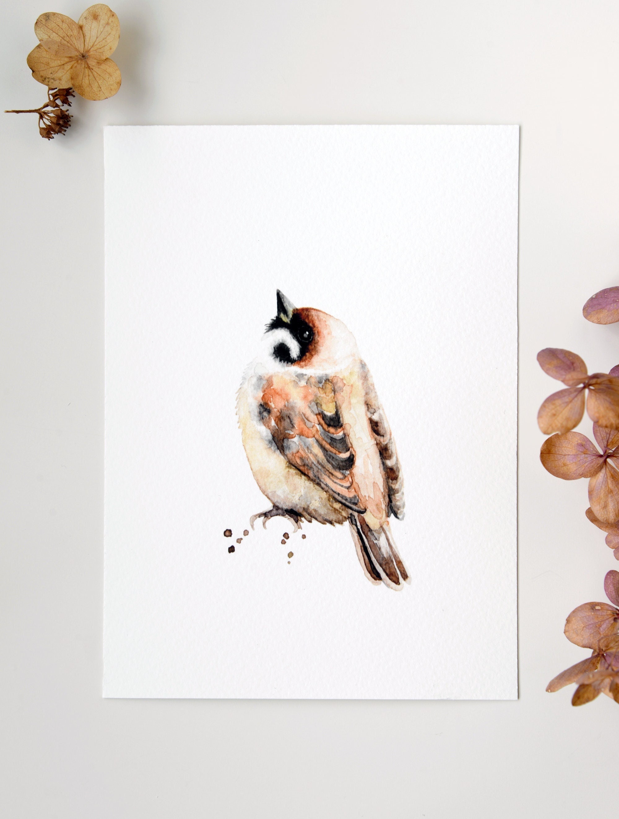 Sparrow Painting Art Print Bird Watercolor Painting Bird Painting ...