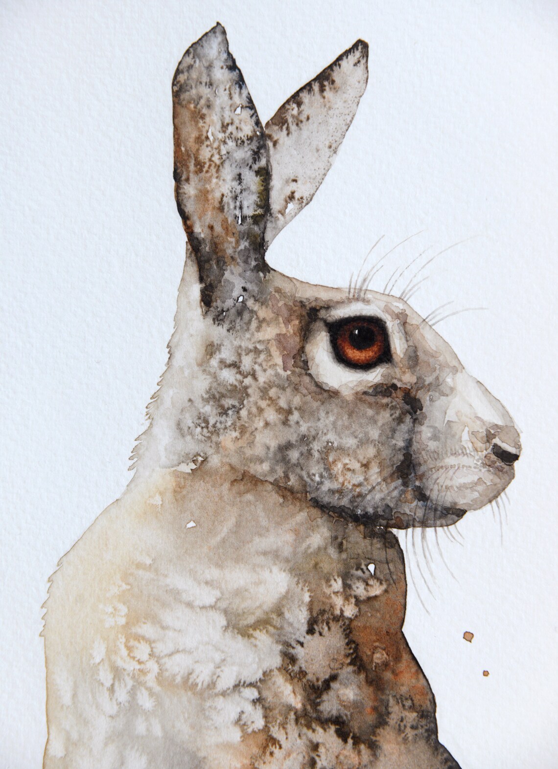 Rabbit Painting Original Watercolor Painting Hare Painting Wild Rabbit ...