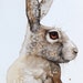 Rabbit Painting Original Watercolor Painting Hare Painting Wild Rabbit ...