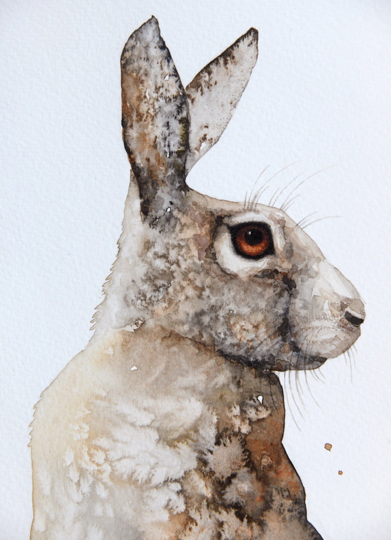 Rabbit Painting Original Watercolor Painting Hare Painting Wild Rabbit ...