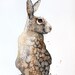 Rabbit Painting Original Watercolor Painting Hare Painting Wild Rabbit ...