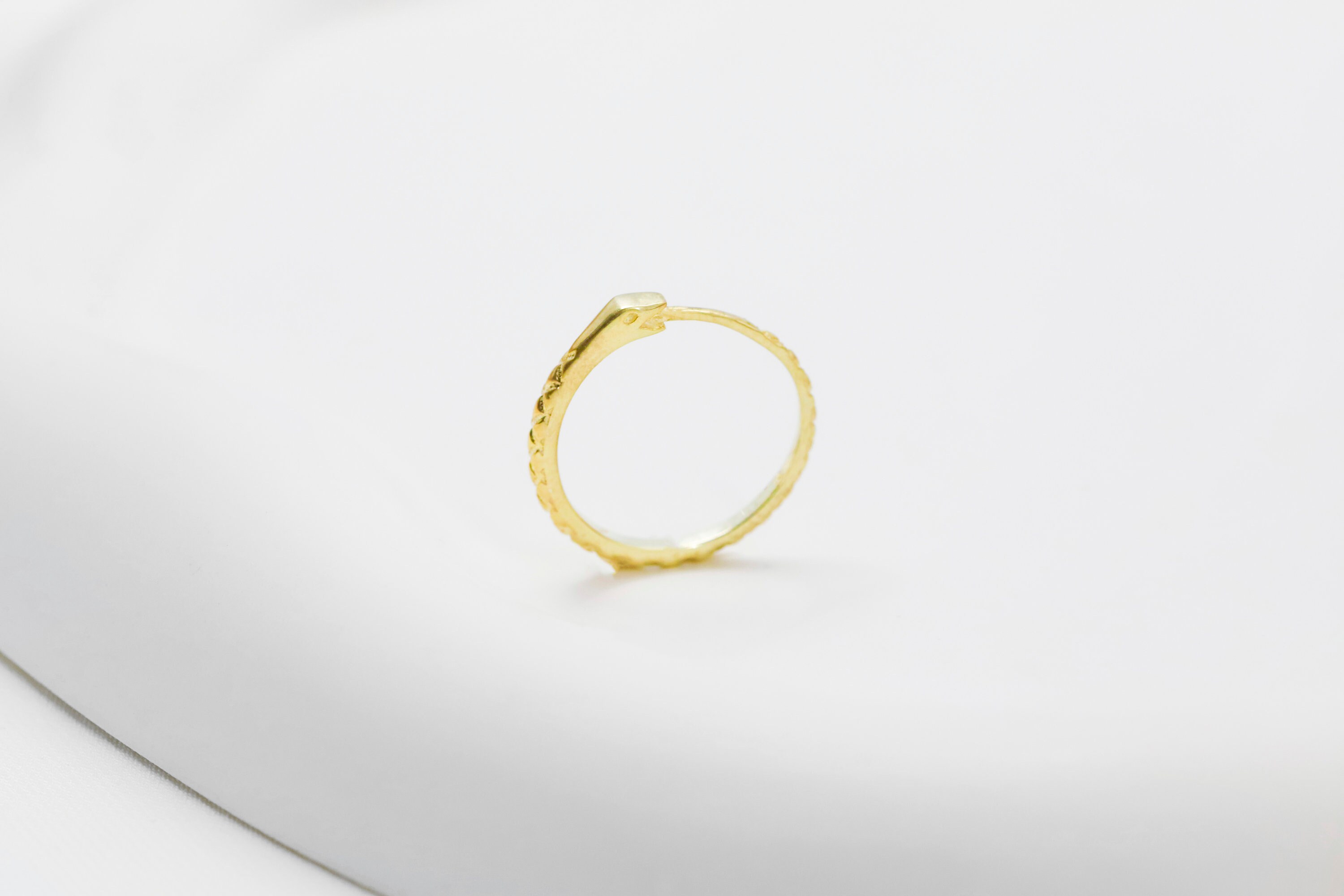 Snake Ring, Ouroboros Ring,serpent Ring, Dainty Ring, Spiral Snake Ring ...