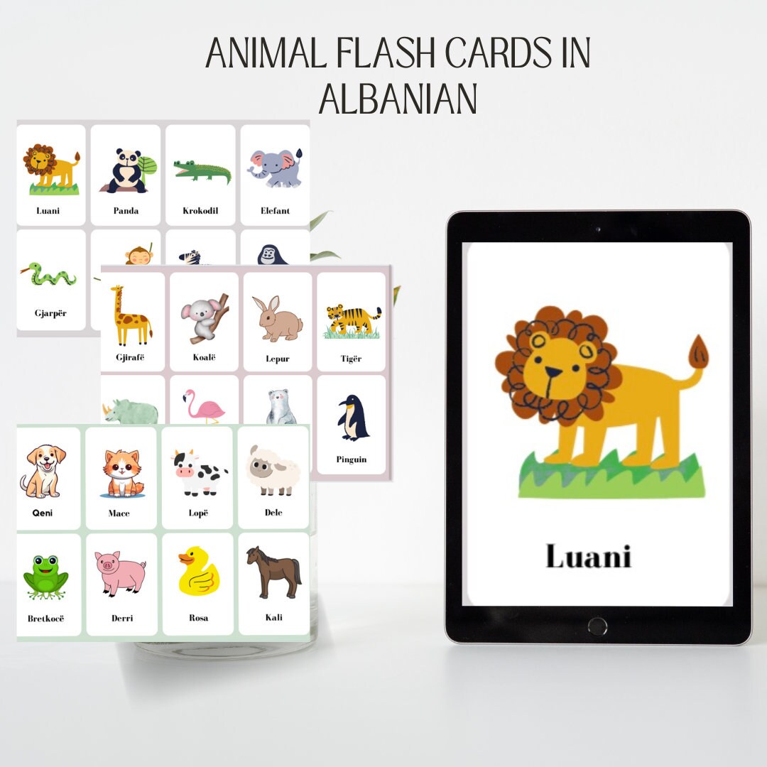 Animal Flashcards Digital Download - Etsy