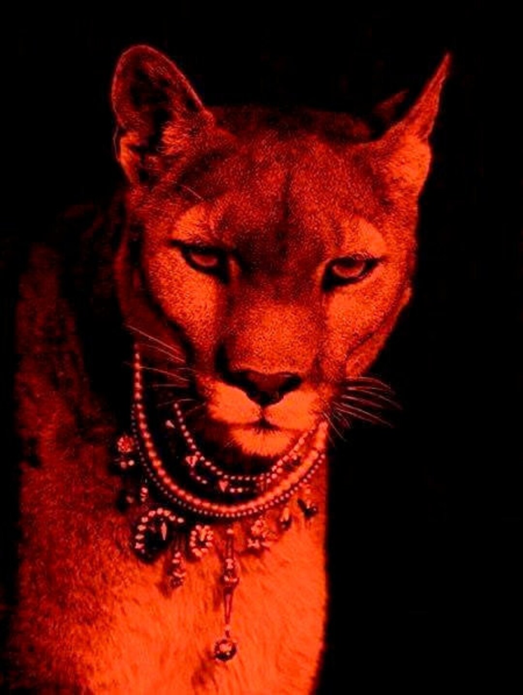 Strong Manhood Ritual, Mind Control Spell, Virility Spell - Etsy