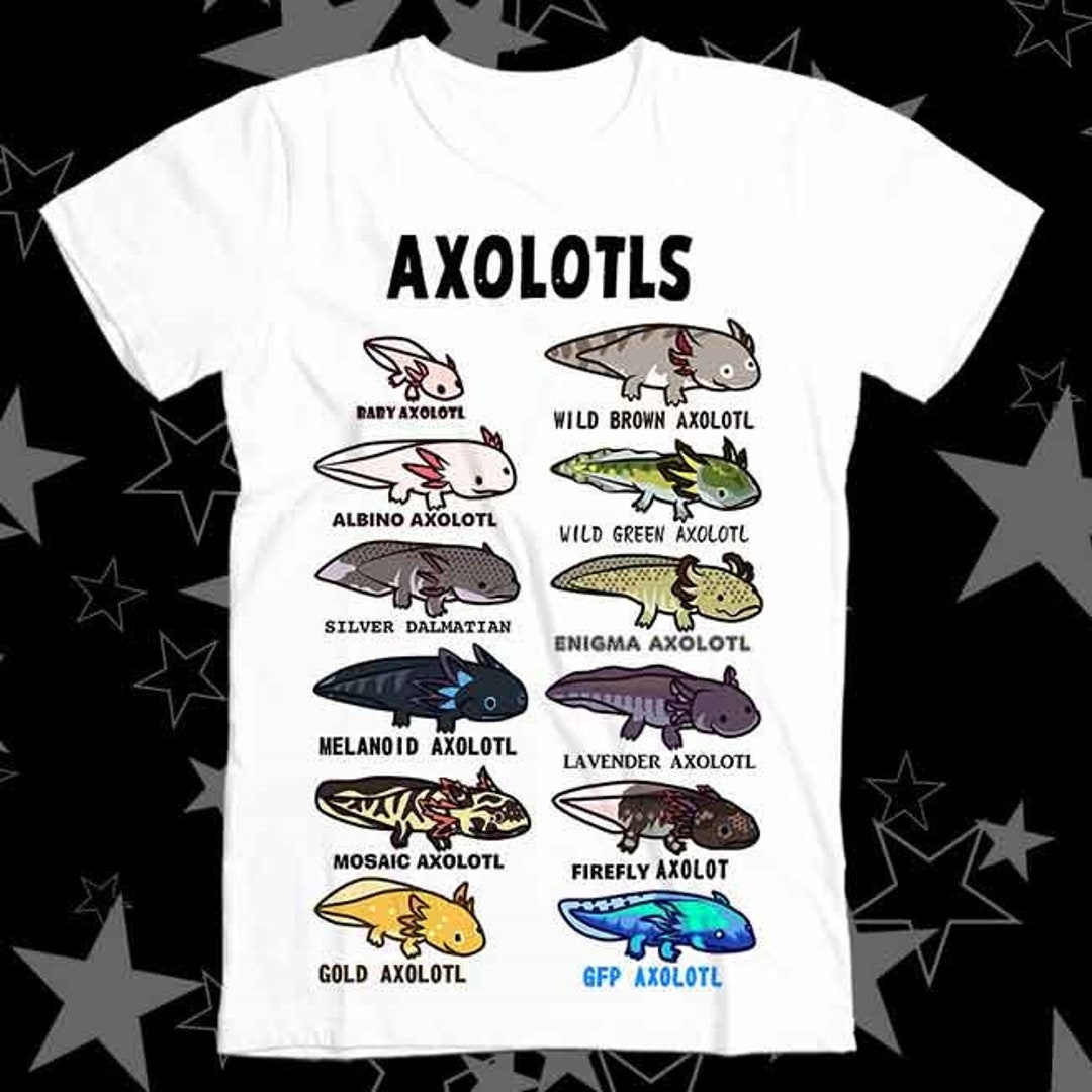 Axolotl Types Names List Best Seller Top Tee T Shirt 190 - Etsy