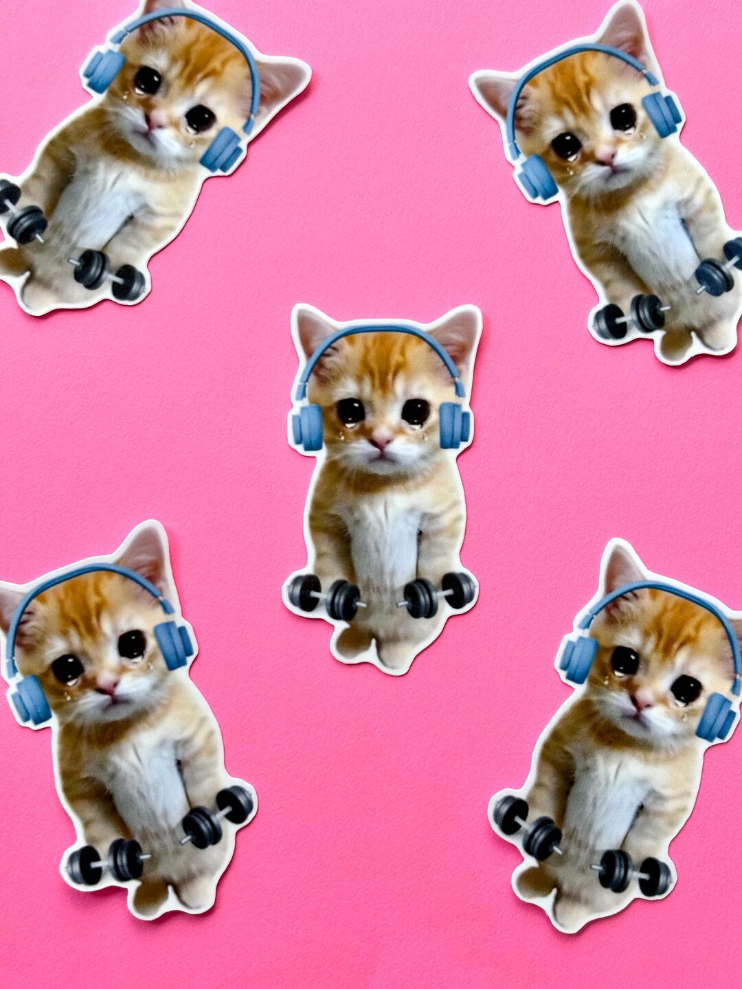 Sad Cat Meme Sticker, Cat Gym Sticker, Crying Cat With Dumbbells ...