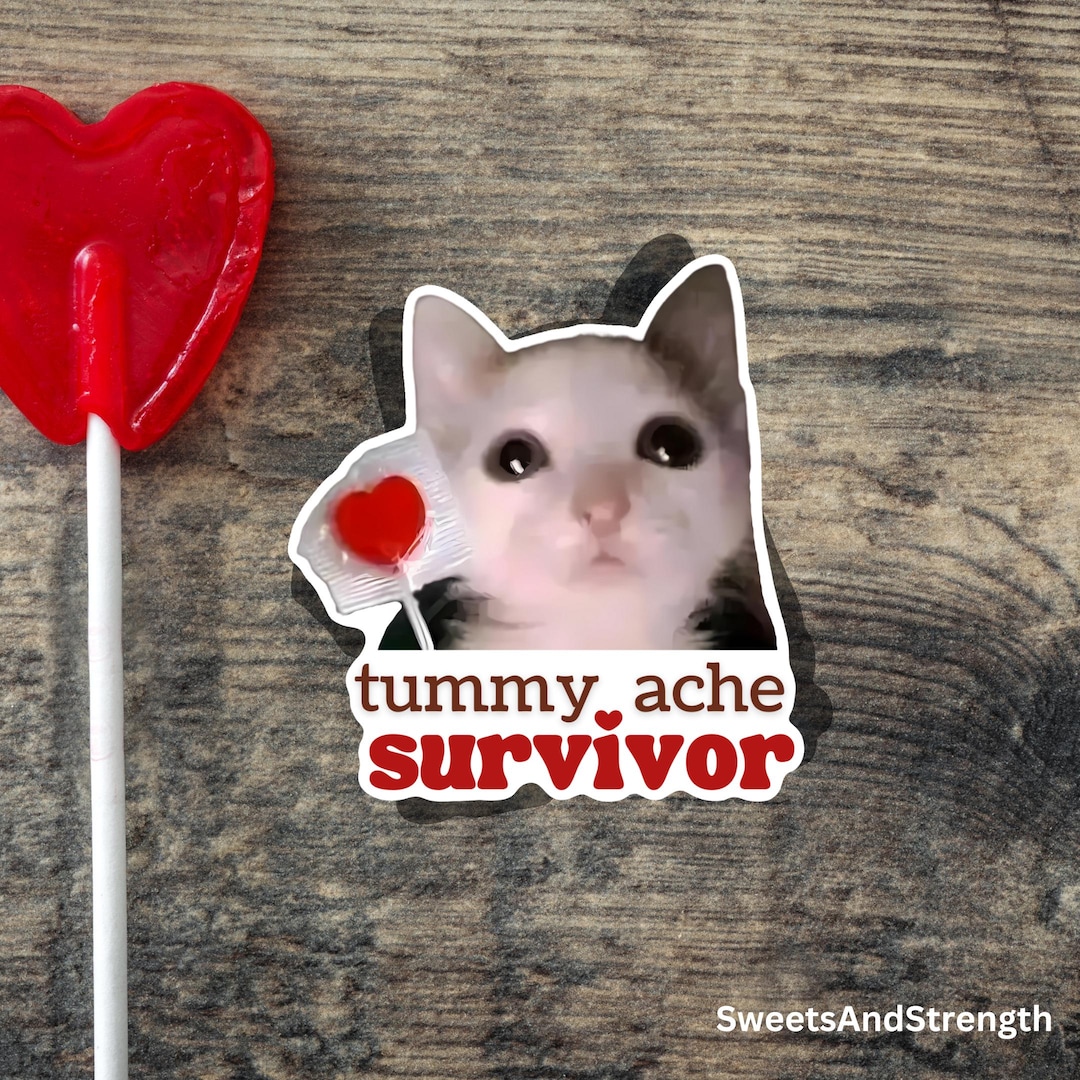 Tummy Ache Survivor Sticker, Funny Cat Stickers, My Tummy Hurts Sticker ...