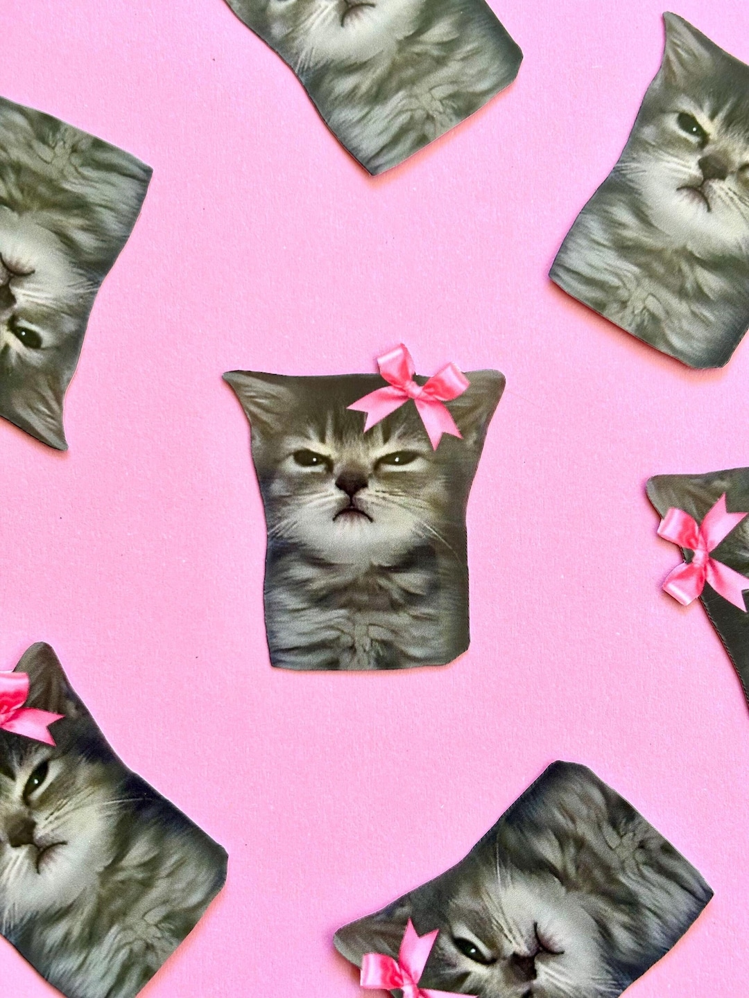 Grumpy Cat Meme Sticker, Cat With Pink Bow Sticker, Funny Cat Stickers ...