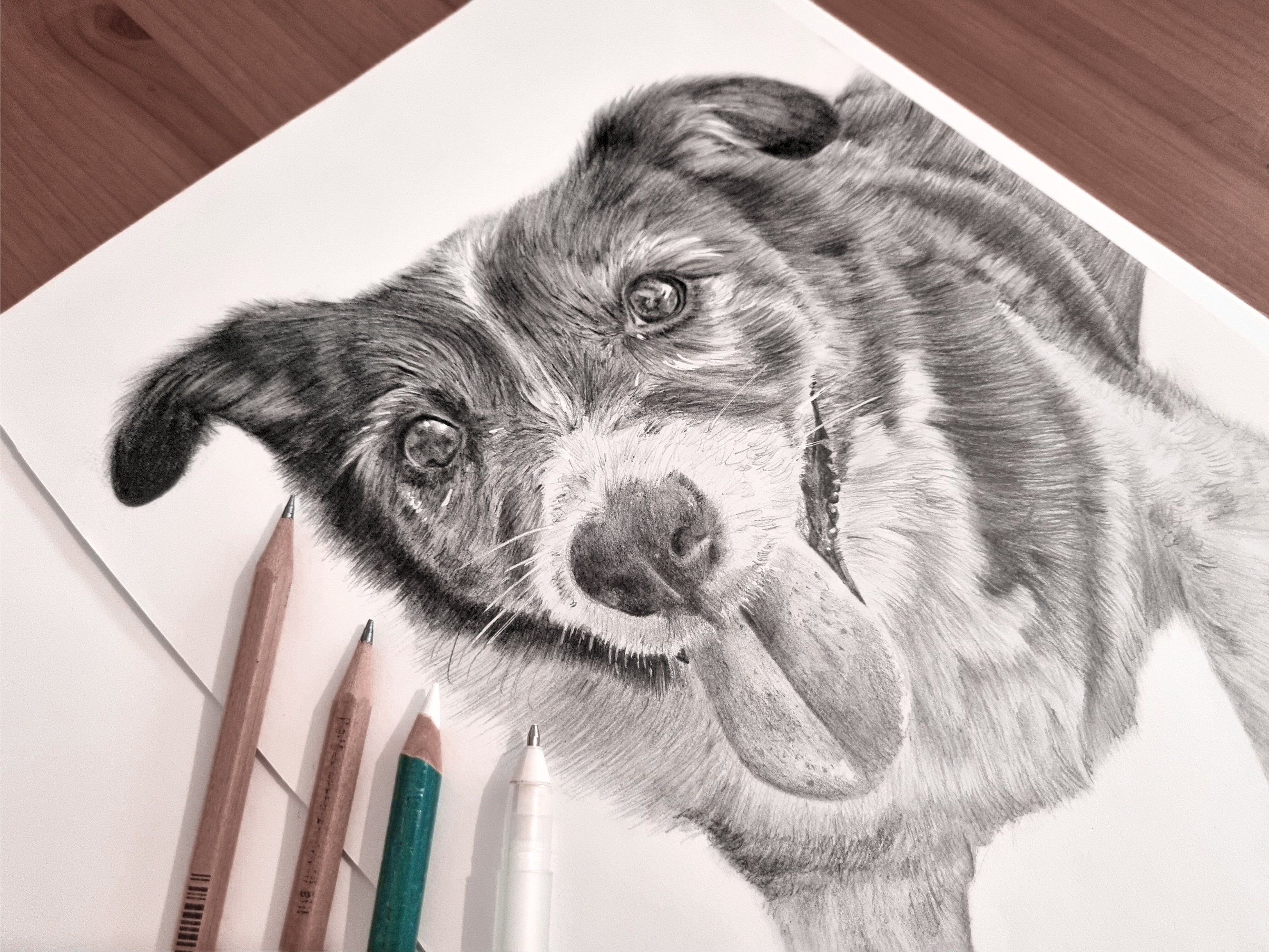 Custom Pet Portrait Pencil Drawing From Photo, Personalised Dog and Cat ...
