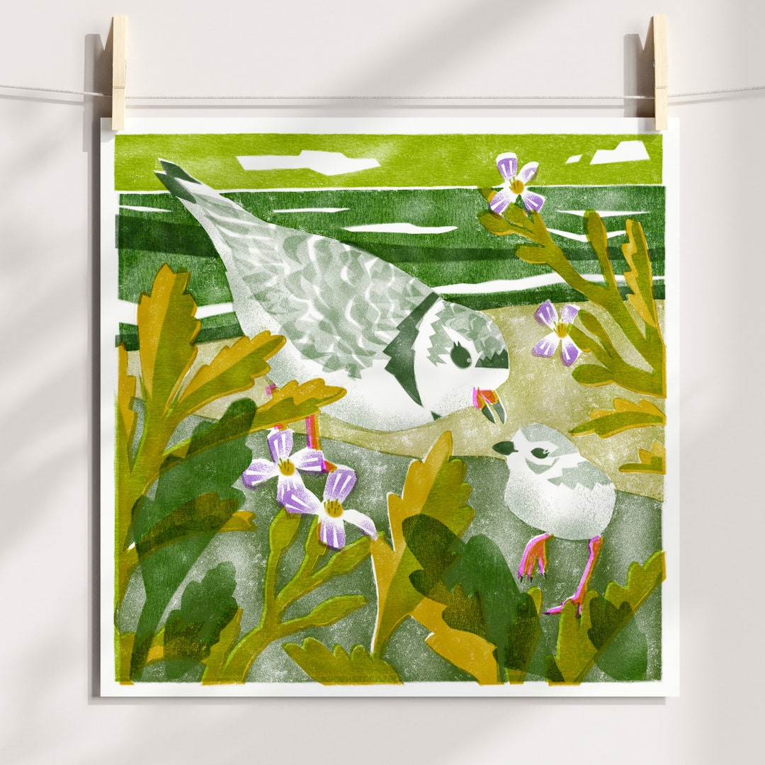 Piping Plover Print / Piping Plover Botanical Art / Bird Print / Bird ...