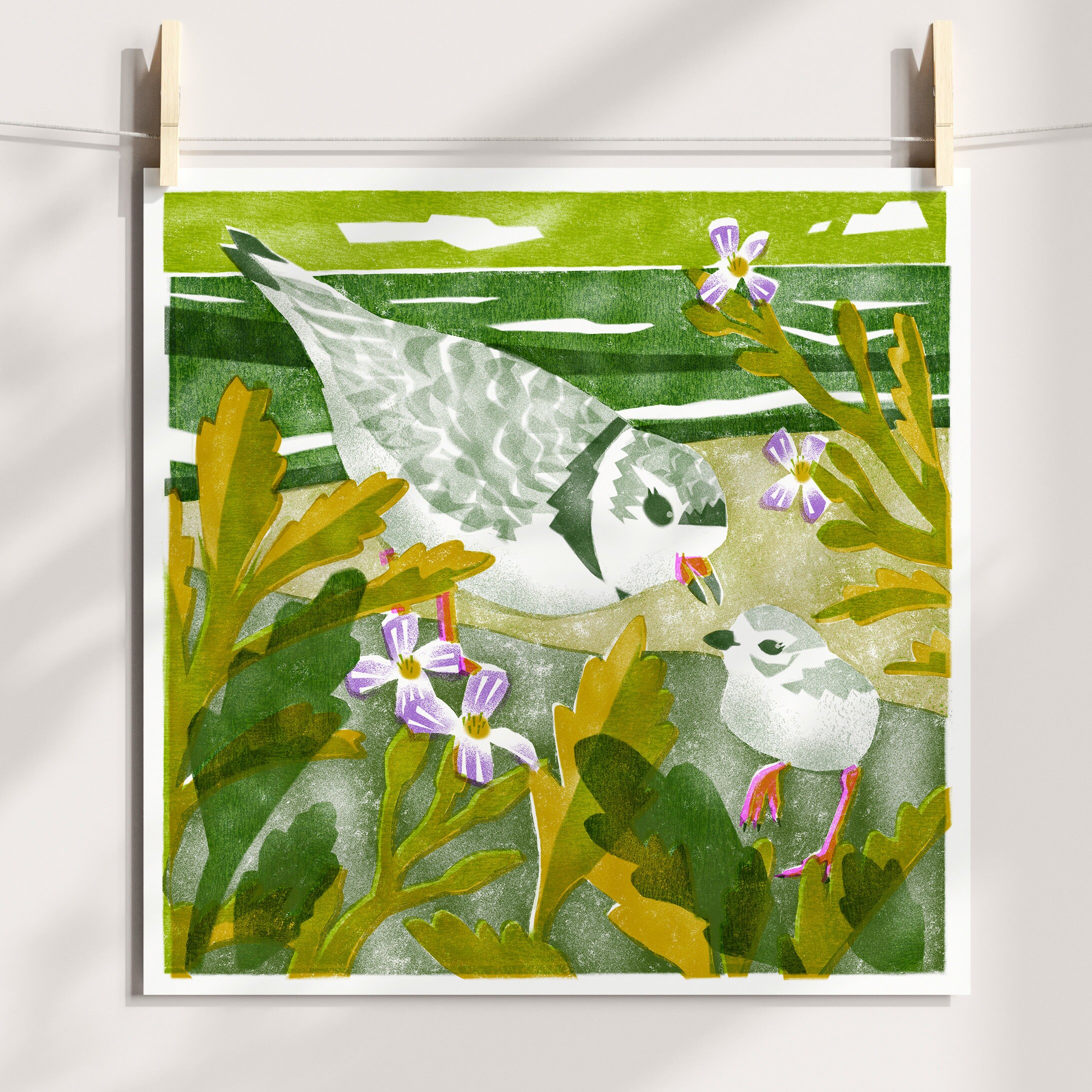 Piping Plover Print / Piping Plover Botanical Art / Bird Print / Bird ...