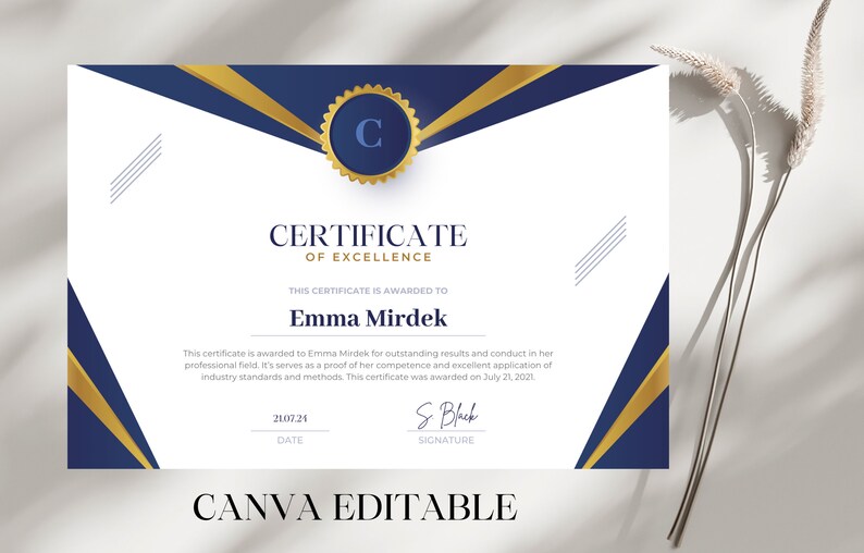 Academic Certificate of Excellence, Modern Design, Golden Elements ...