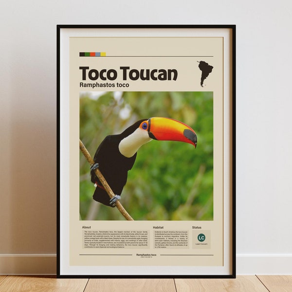 Toucan Poster - Etsy
