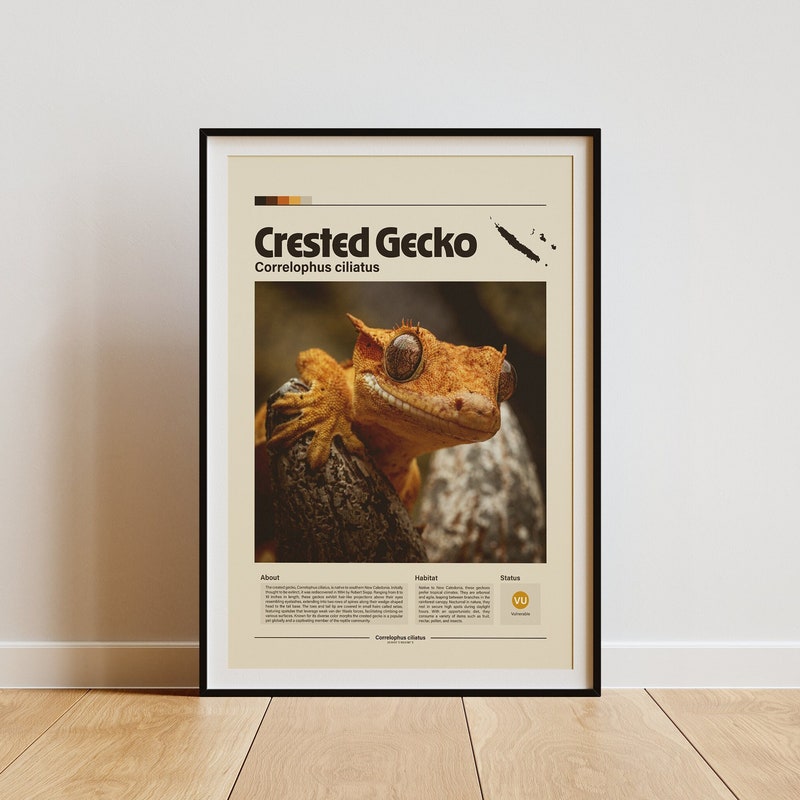 Gecko Art - Etsy