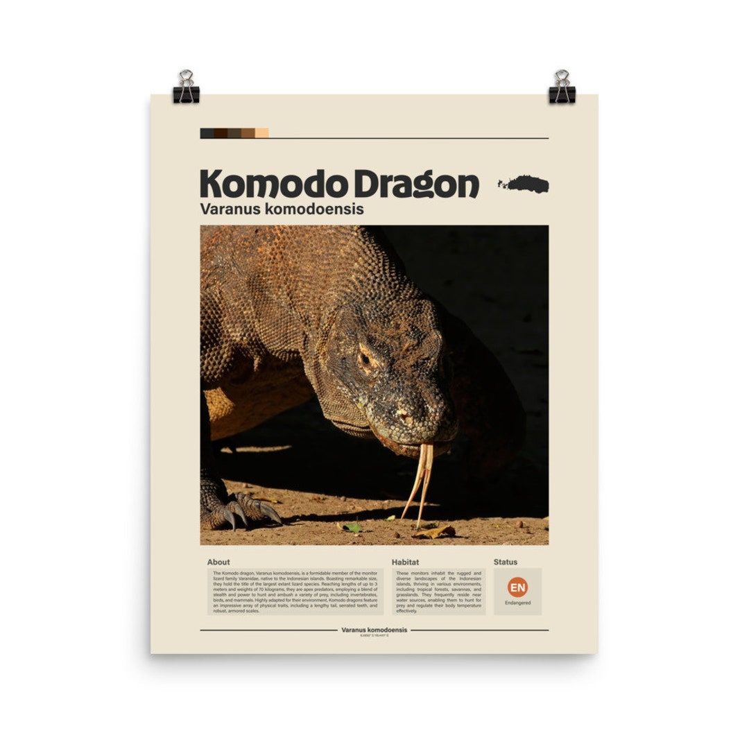 Komodo Dragon Wall Art Digital Print Minimalist Animal Print ...