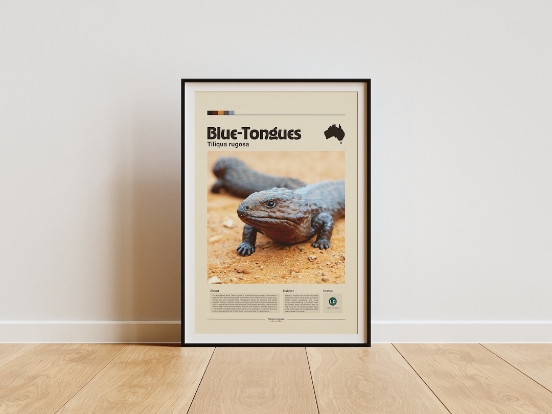 Blue-tongue Skink Wall Art | Digital Print | Minimalist Animal Print ...