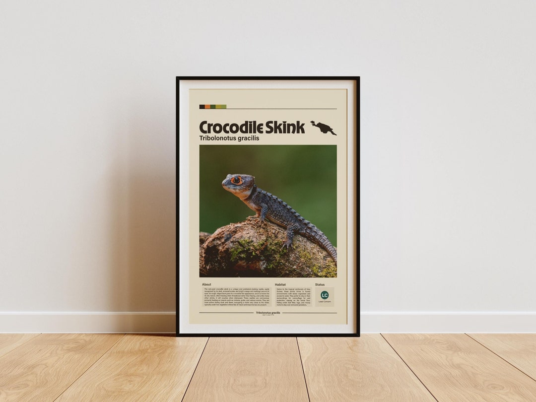 Red Eyed Crocodile Skink Wall Art | Skink Poster | Modern Wildlife Art ...