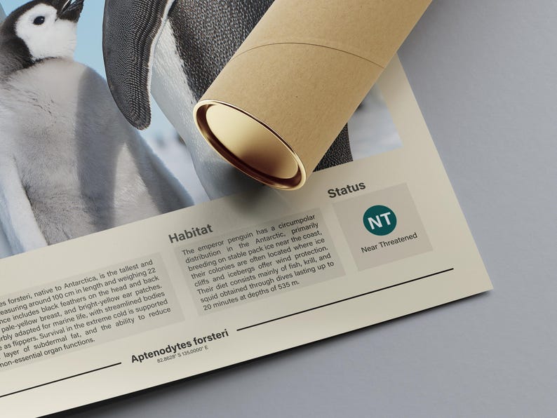 Emperor Penguin Wall Art | Penguin Poster | Modern Wildlife Art Decor ...