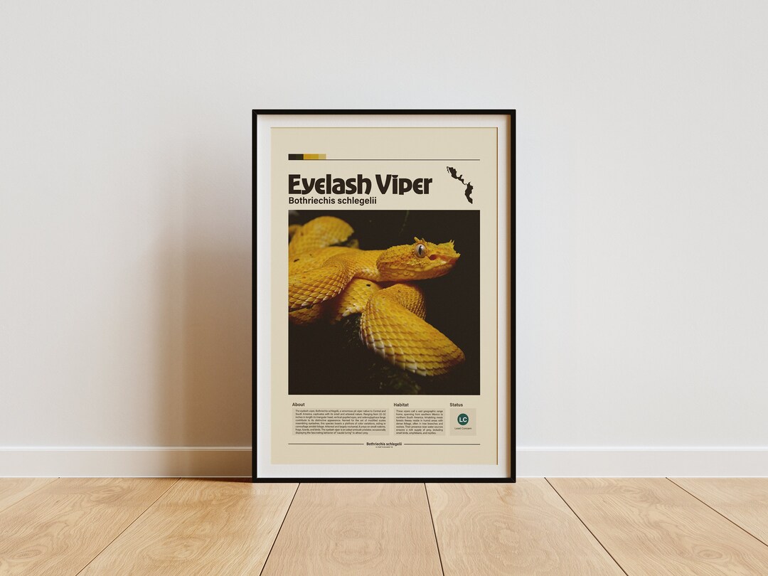 Eyelash Viper Wall Art | Digital Print | Minimalist Animal Print ...