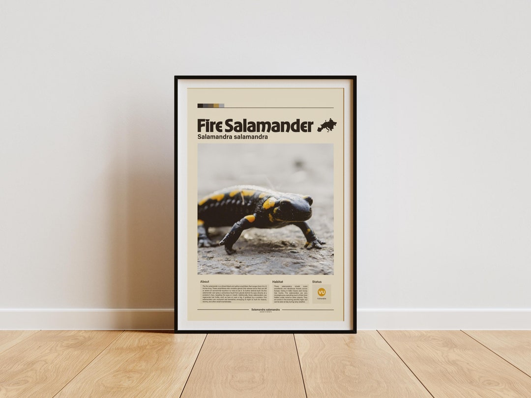 Fire Salamander Wall Art | Digital Print | Minimalist Animal Print ...