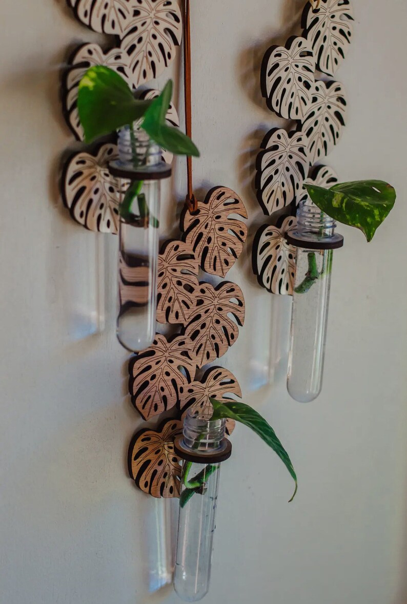 Monstera Hanging Propagation Station - Chose Your Color - Etsy