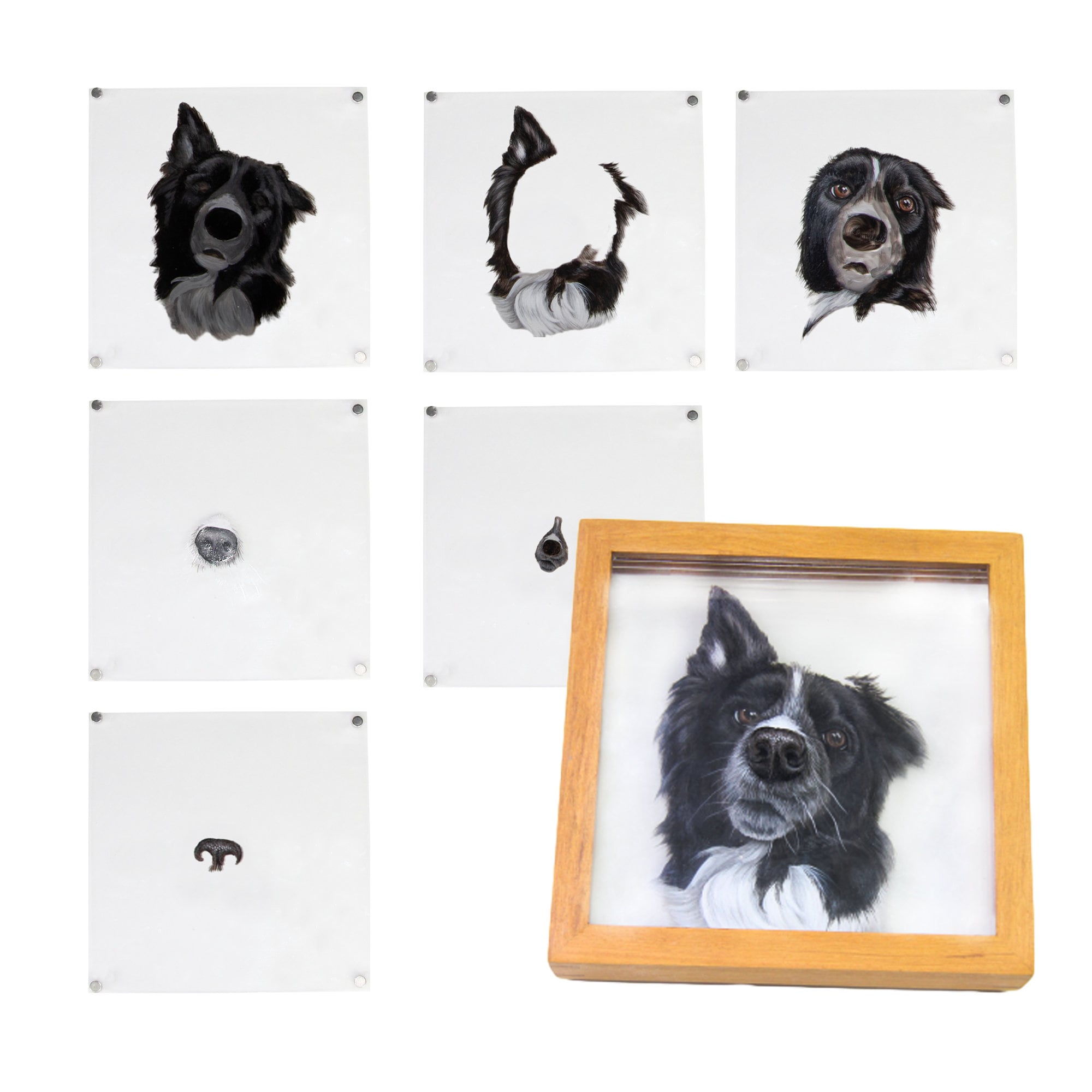 Multi-layered Pet Portraits 2024 Most Creative Pet Portraits Dog ...