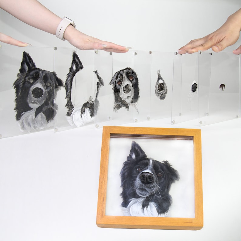 Multi-layered Pet Portraits 2024 Most Creative Pet Portraits Dog ...