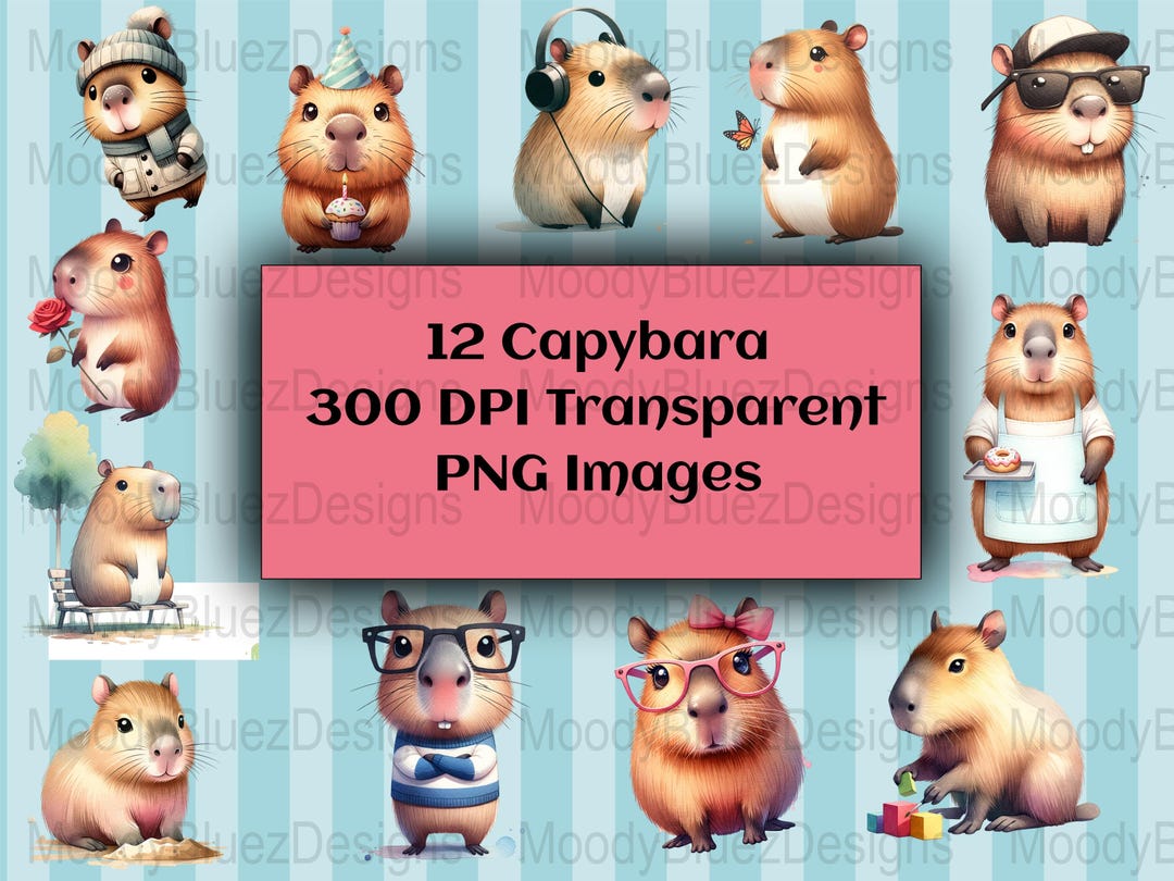 Conjunto de clipart fofo de capivara, 12 imagens PNG adoráveis de ...