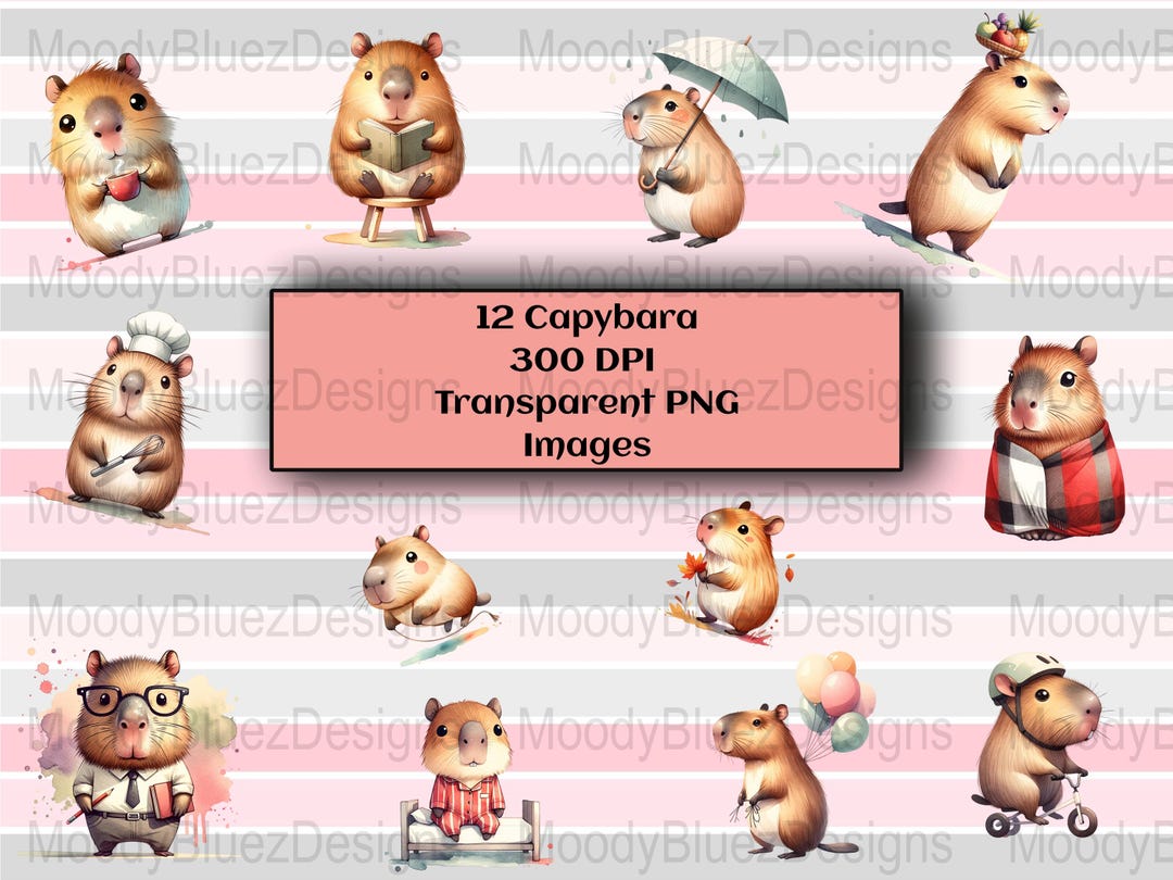 Cute Capybara Clipart Bundle, 12 Cute Capybara 300 DPI Transparent PNG ...