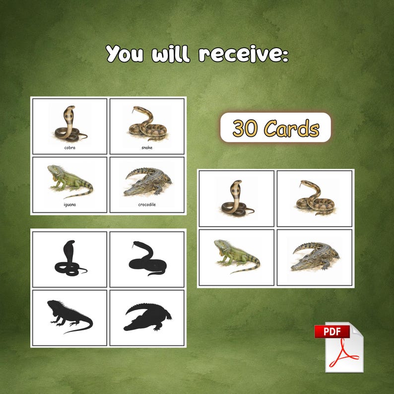 Reptile Flashcards Printable | Montessori Matching Game | Homeschool ...